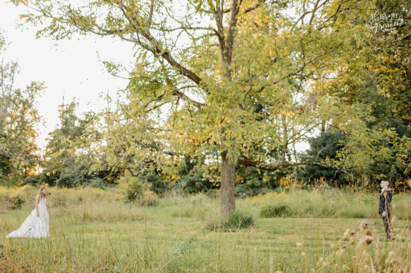 Summer Gallery | HollyHedge Estate