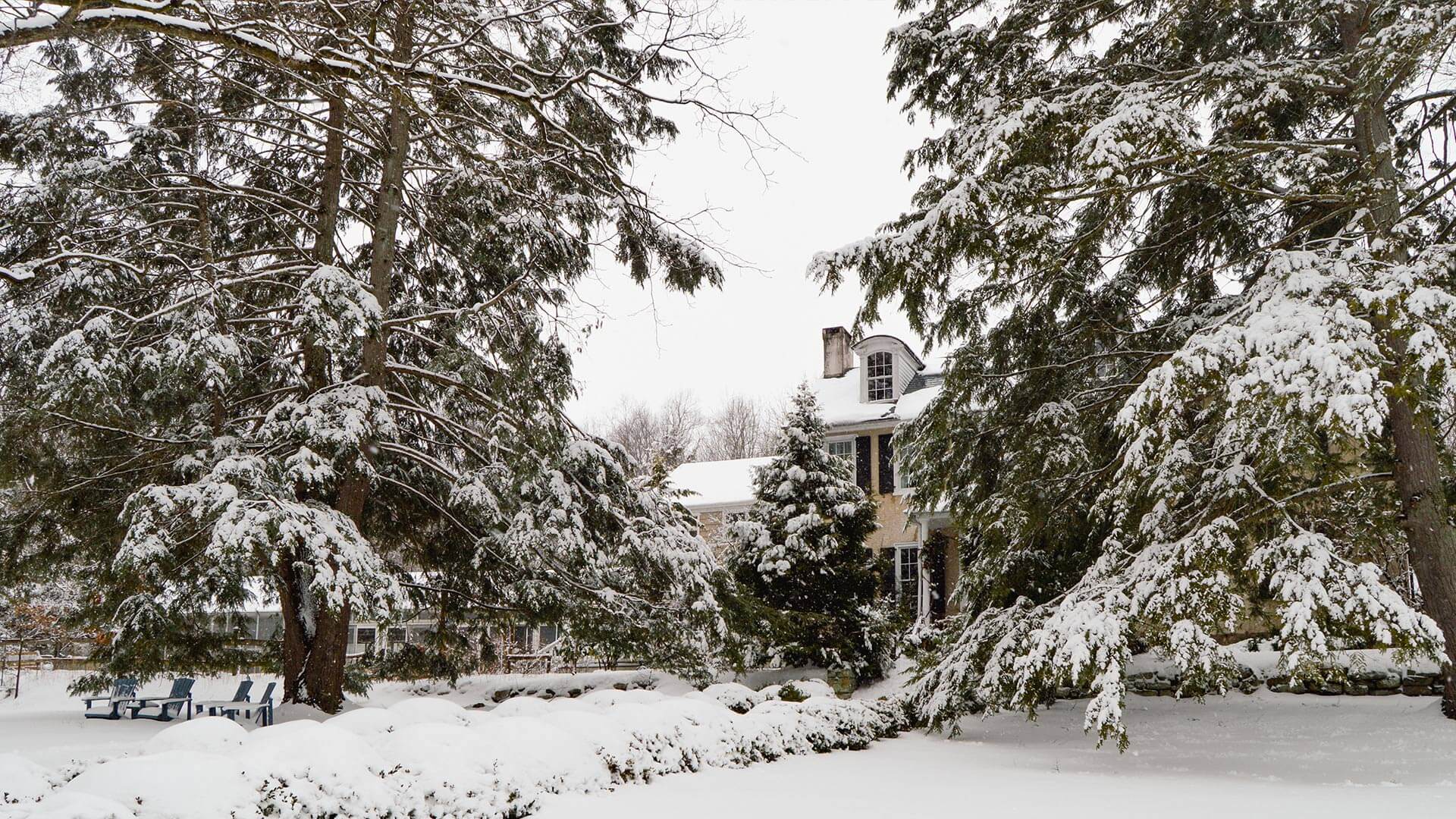 The Inn | HollyHedge Estate