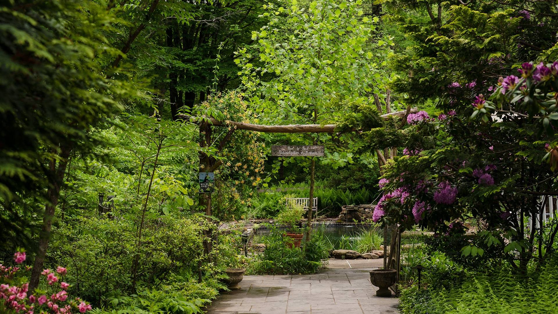 The Inn | HollyHedge Estate